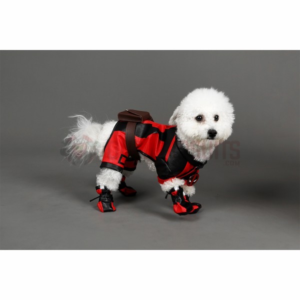 Deadpool & Wolverine Dogpool Cosplay Costume Deadpool Dog Suits